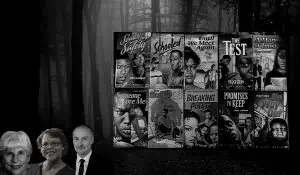 Bluford Series In Order With Details - BookAvatar