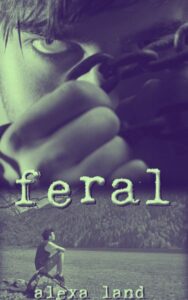 10 Gay Werewolf Books For Fantasy Lovers - BookAvatar