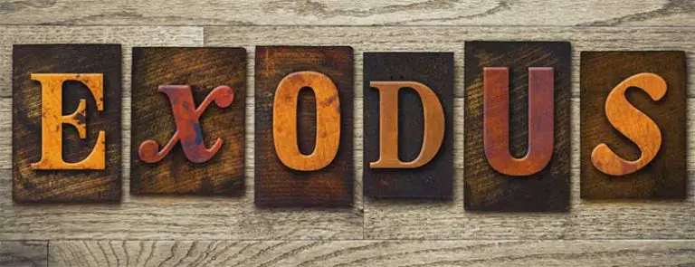 15 Most Important Books In The Bible - BookAvatar